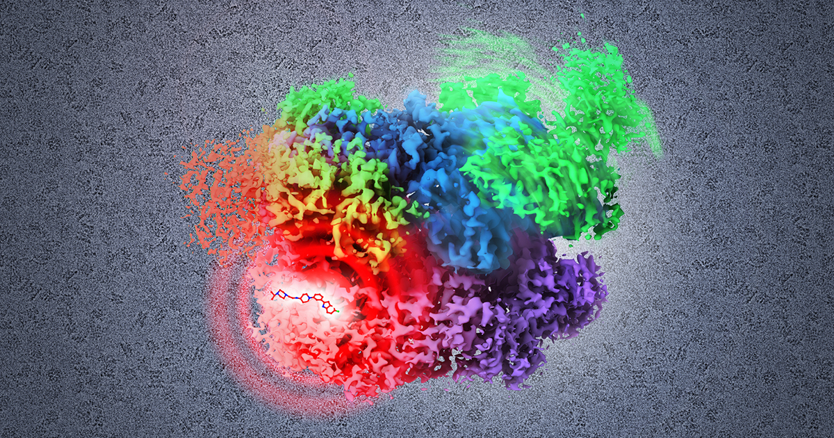 Allen School News » Researchers unveil BioTranslator, a machine ...